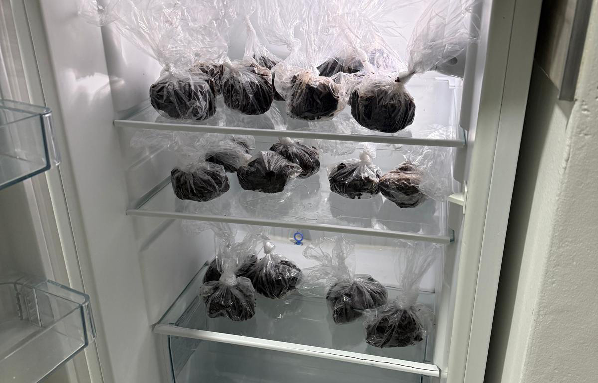 HAPŠENJE U NOVOM SADU Pronašli im kilograme i kilograme droge |Crna ...